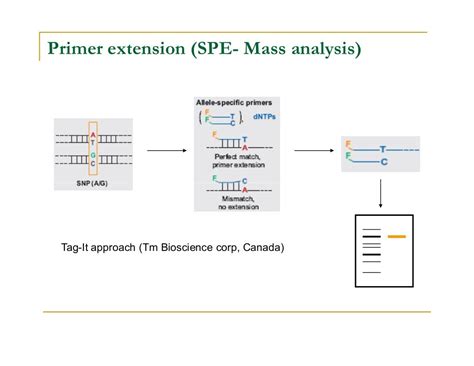 SNP Genotyping Technologies