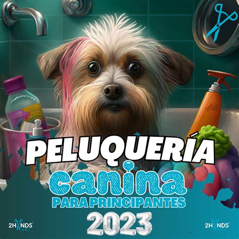 Peluquería Canina Para Principiantes 2hands Art Hotmart