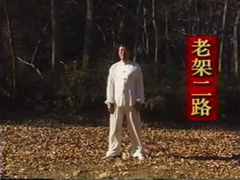 Chen Style Taijiquan Laojia Second Form By Wang Xi An