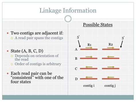 ppt scaffolding large genomes using integer linear programming