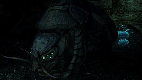 Never Seen This Before Found In The Forgotten Vale It Can Be Mined For Shellbug Chitin Skyrim