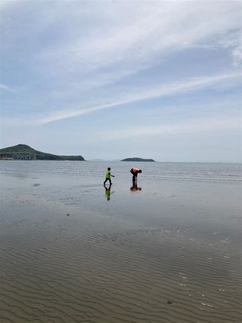 영종도 마시안 갯벌체험장 마시안해변에서 조개캐기체험비 주차 준비물 네이버 블로그