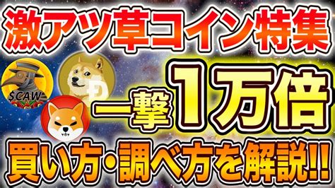 Caw・dogeなど【激アツ草コインの買い方を徹底解説】見逃し厳禁【仮想通貨】【ビットコインxrp リップル】 カイラクサーチ