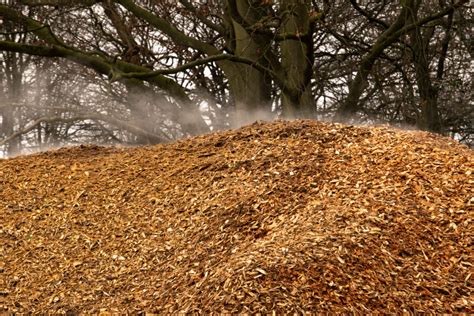 Contact Us Fuel Chip