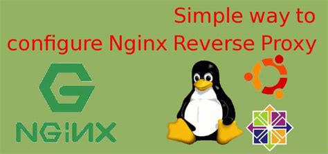 Simple Guide On How To Setup Nginx Reverse Proxy LinuxTechLab