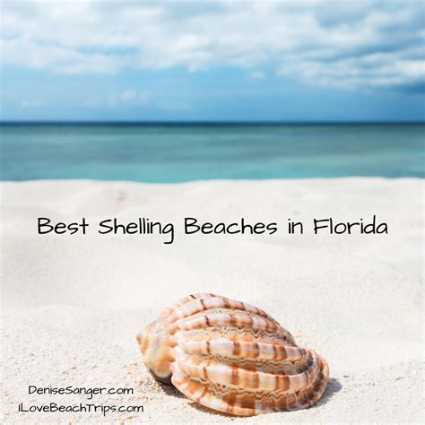 Best Shelling Beaches In Florida Travel For Women 50 Everything You