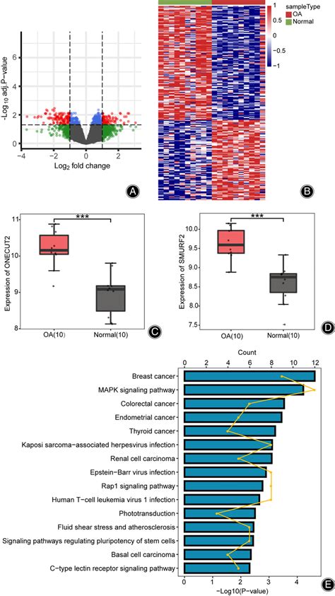 Bioinformatics Was Applied To Screen Mrna Expression Profile And