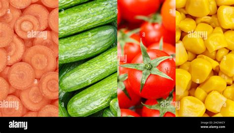 Collection Of Vegetables Vegetable Collage Background With Tomatoes