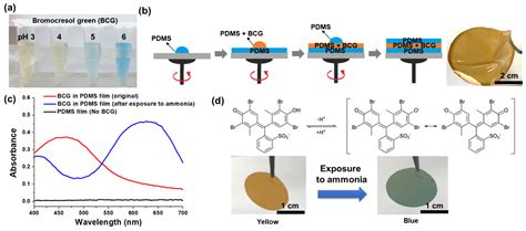 Biosensors Free Full Text A Flexible And Attachable Colorimetric