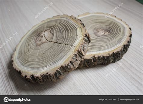 Cross Section Of The Tree Stock Photo By PPVector 144872991