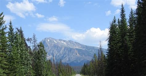 The View From Here Highway 93a South Of Jasper Alberta