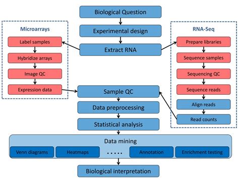 Ppt Rna Seq And Transcriptome Analysis Essentials For Biotechnologists Powerpoint Presentation