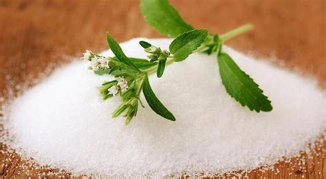 Stevia Extract Has Been Proven To Lose Weight Sangherb