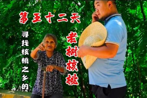 寻找千年老树核桃的第五十二天今天来到了龙窝村 凤凰网视频 凤凰网