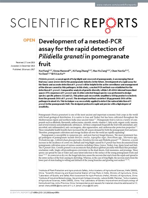 Developmentofanested Pcrassayfortherapidde Pdf Polymerase Chain Reaction Dna