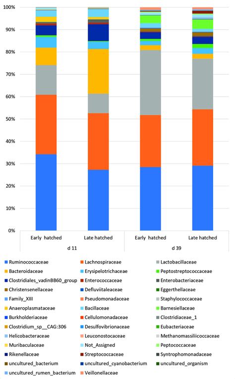 Effects Of Hatching Time On The Cecal Microbiota Composition At The