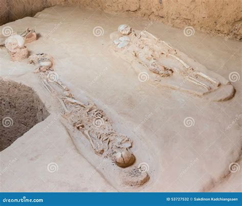 Skeleton Of Human Female Lying On Floor Royalty Free Stock Image