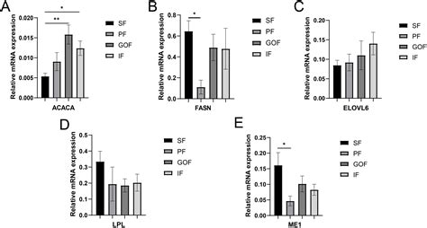 Differences In Histomorphology And Expression Of Key Lipid Regulated