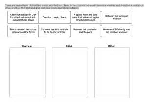 Solved There Are Several Types Of Fluid Filled Spaces With