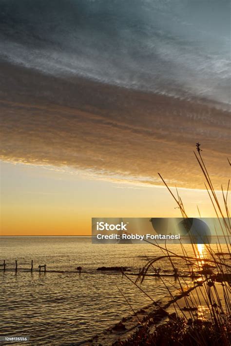 부시 식물 실루엣은 바위 사이의 물 반사와 함께 새벽 또는 일몰에 오래된 버려진 바다 부두에 화려한 구름과 오렌지와 붉은 하늘로 전경에서 태양을 잘라 구름 풍경에 대한 스톡