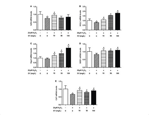 Effects Of Safflower Yellow Sy On The Expression Of Nrf2 And