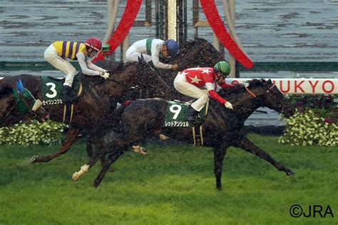 Jra（日本中央競馬会） Cbc賞giiiは、1番人気レッドアンシェルが雨の降る不良馬場の中、力強く差しきって