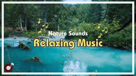 Calm Music Relaxing Music Meditation Music Nature Sounds Piano Music Study Music Focus