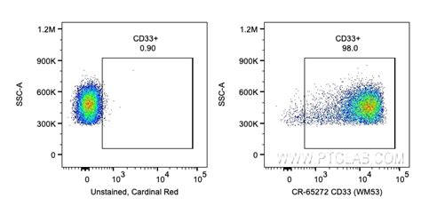 Cd33 Antibody Cr 65272 Proteintech