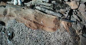 Soft Sediment Deformation Universität Innsbruck