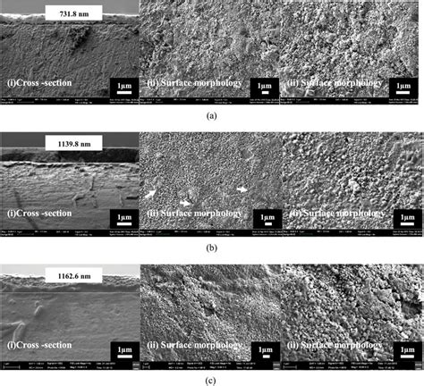 Cross Sectional Views And Surface Morphologies Of The Spd Sample At Download Scientific Diagram