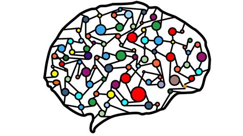 The Basics Of Data Science What You Need To Know By Rhythm Bhavsar