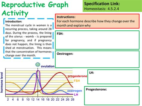 Aqa Gcse Biology Science Hormones In Human Reproduction Lesson
