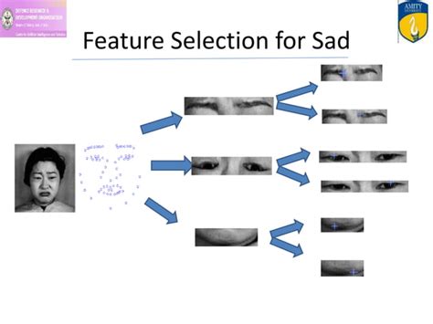 Facial Emotion Recognition Corporatemeet Ppt