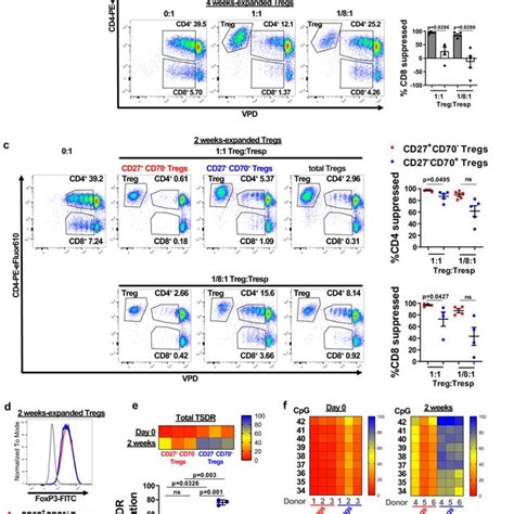 Cd27 And Cd70 Define Distinct Human Treg Subpopulations A Expression Of Download Scientific