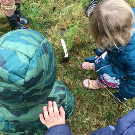 Prees Ce Primary School And Nursery Young Planters