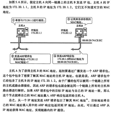 tcp ip ip协议 ip发包器适应于那些协议 csdn博客