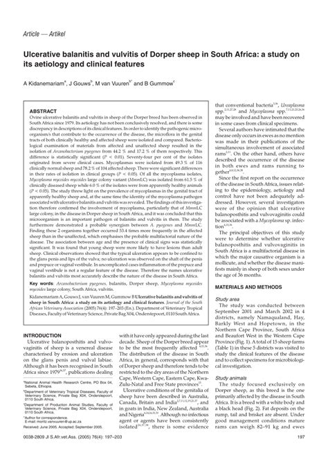 Pdf Ulcerative Balanitis And Vulvitis Of Dorper Sheep In South