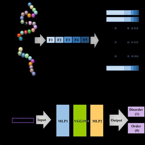 The Overall Framework For The Prediction Of Intrinsically Disordered