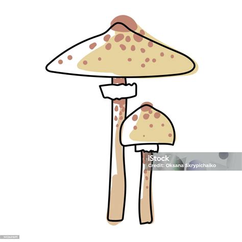 파라솔 버섯 흰색 배경에 고립되어 있습니다 식용 숲 버섯 색상이 튀어 나오는 라인 아트가 추가되었습니다 파스텔 색상 가을에 대한