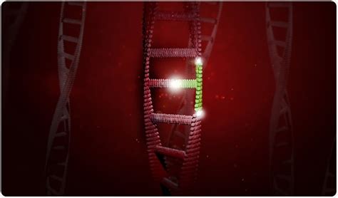 Conditional Gene Knockout Techniques Health Worlds News