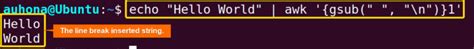 How To Echo Newline In Bash Complete Guide Linuxsimply