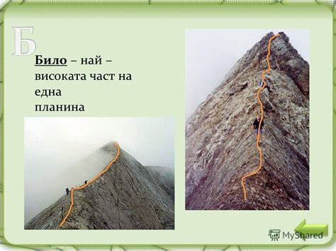 Презентация на тему Илиана Т Илиева Дъбова Било най високата
