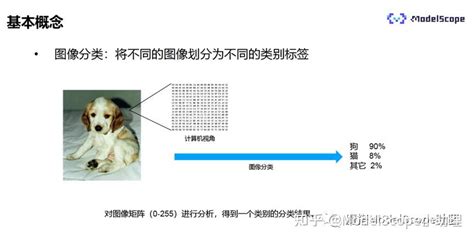 图像分类基础与实战 知乎