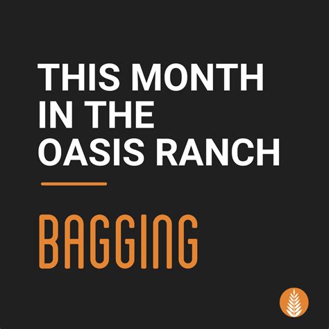 Bagging Is The Last Activity Before Oasis Date Gardens