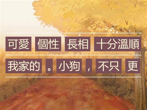 句式「 不只 更 」 Unjumble