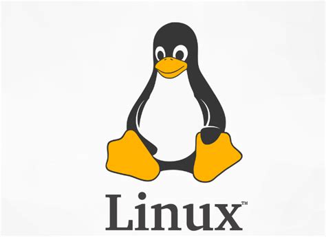 如何查看Linux启动的服务 systemd和sysvinit查看已启动服务 不念博客
