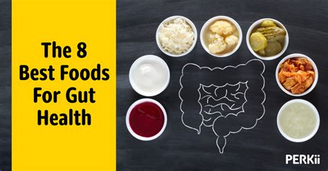 The 8 Best Foods For Gut Health Perkii Probiotics