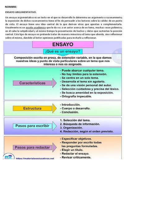 Ensayo Argumentativo Pdf