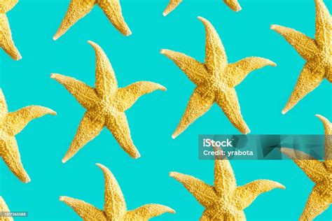 바다 별과 밝은 여름 패턴 청록색 바다 여름 휴가 개념에 노란색 불가사리 0명에 대한 스톡 사진 및 기타 이미지 0명 개념 공휴일 Istock