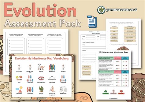Year 6 Science Evolution Assessment Pack Grammarsaurus